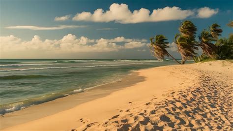 Premium Photo Tranquility At A Tropical Beach