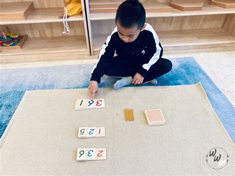 Group Operations Dynmaic Addition — The Wonderful World Of Montessori