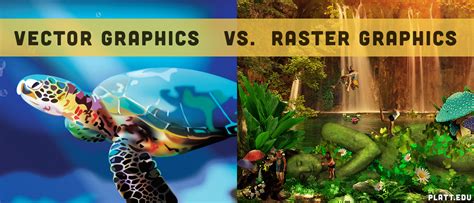 The Difference Between Vector Graphics And Raster Graphics Platt College San Diego