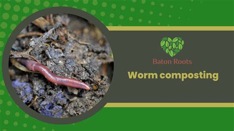 Demonstration Introduction To Vermicomposting Youtube