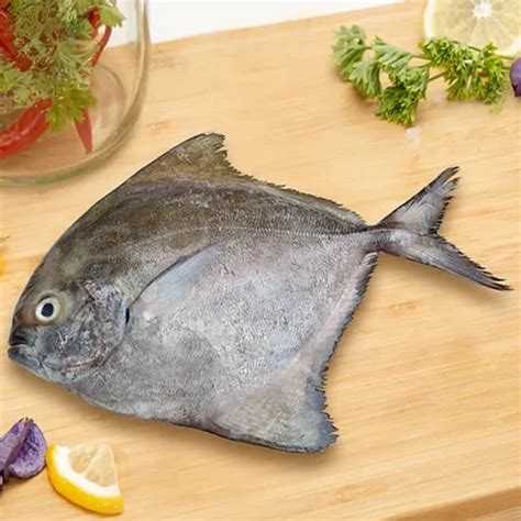 Black Pomfret Small 1 Kg Jhataka Meat
