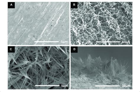 Sem Micrographs Of A Bare Copper B Copper Oxide Nanoribbons