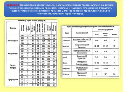 Экстерьер крупного рогатого скота Практическое занятие № 1 презентация онлайн