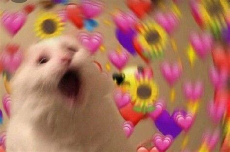 Pin by ɀð๓ҍıɛ Öʂɾıçɧ on Ninjago screenshots Lego ninjago Ninjago memes Ninjago