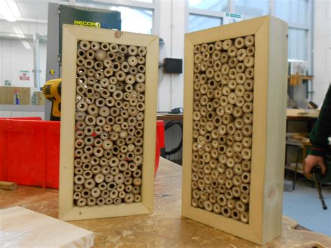 Calasanctius College Biodiversity The Galway County Biodiversity Project