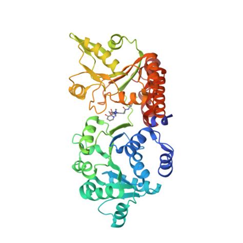 rcsb pdb 8pfl crystal structure of wrn helicase domain in complex with 3