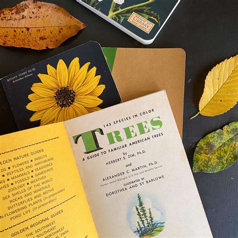 Vintage 1950s Tree Identification Book Circa 1956 By Golden Press In
