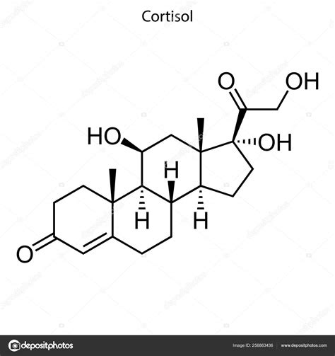 Steroid Structural Formula
