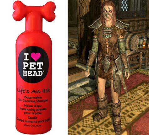 Aela Other Companions R Elderscrolls