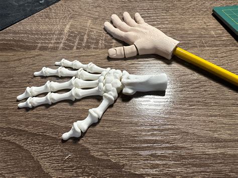3d Printed Articulated Hand Pencil Toppers Skeleton And Etsy