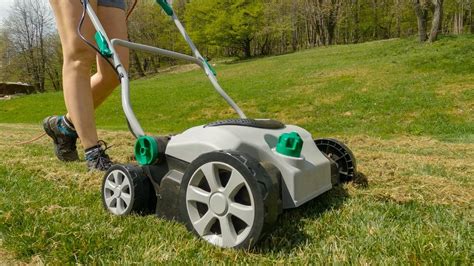Lawn Scarifier Vs Dethatcher Which Is Right For Your Lawn House Happy
