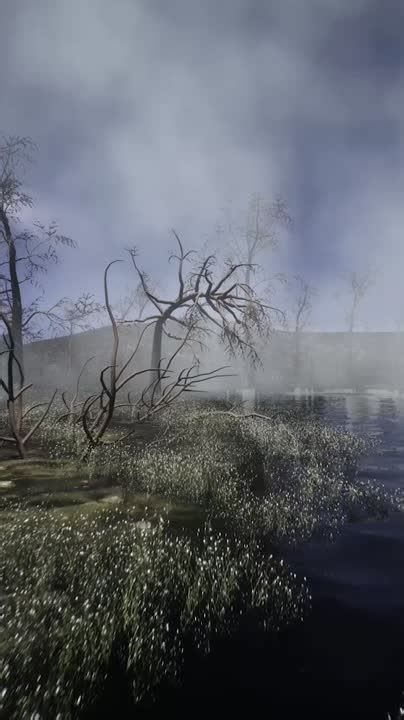 gonzalo cortez on linkedin experiment with unreal engine speedtree