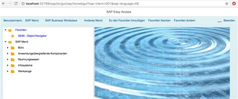 Connect To Netweaver Abap Instance Running Inside Docker Its Full Of