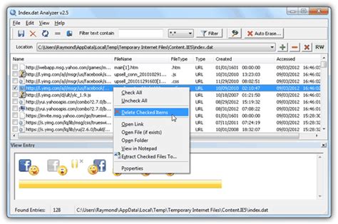 view examine and delete internet explorer index dat contents