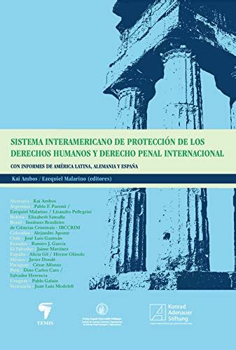 El Lector Libro Sistema Interamericano De Protección De Los