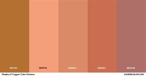 Shades Of Copper Color Scheme Palettes