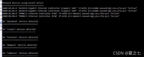 如何在vmware虚拟机里把dpdk跑起来？ vmware vspher 上可以使用 dpdk csdn博客