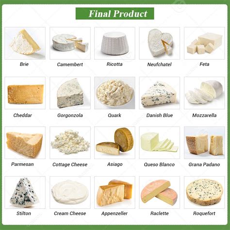 Cheese Making Machine Gondor Machinery