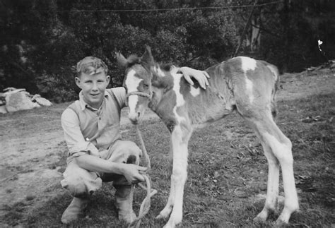 Chris Doolan Lifelived