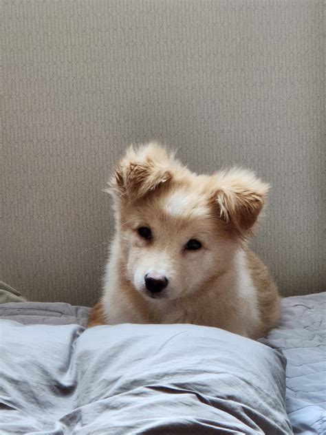 조희의조이한하루 Johee Joy Twitter