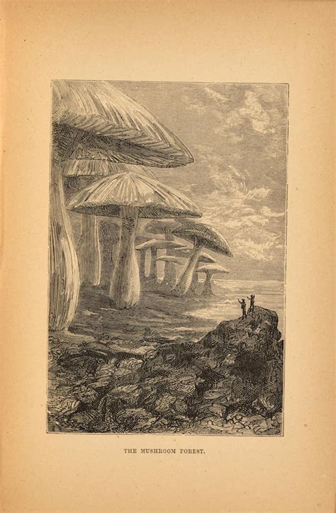 Bonhams Verne Jules 1828 1905 A Journey To The Centre Of The Earth New York Scribner