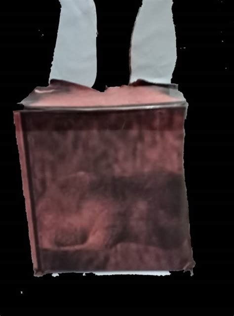 Cardboard Floppa Cube Cubo Floppa De Cartón En Mexicali