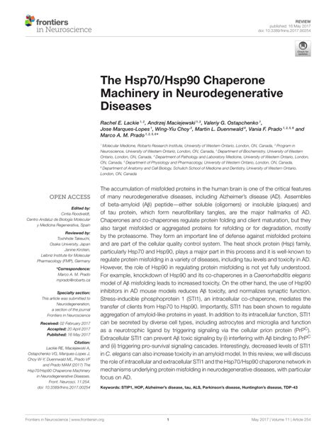 Pdf The Hsp70hsp90 Chaperone Machinery In Neurodegenerative Diseases