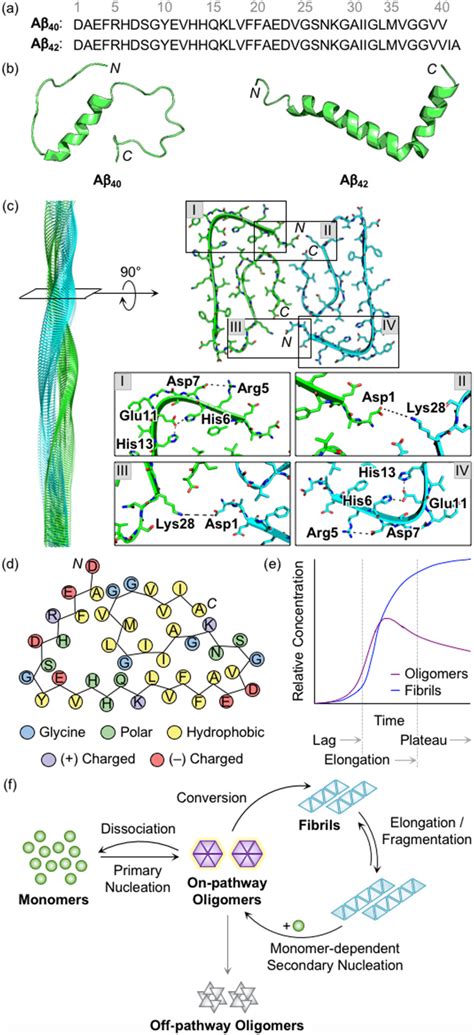 Current Understanding Of Metal Dependent Amyloid β Aggregation And