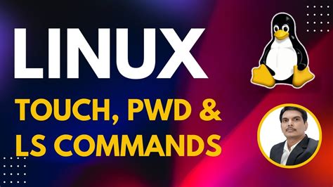 Part 3 Unixlinux For Testers Touch Pwd And Ls Commands Youtube