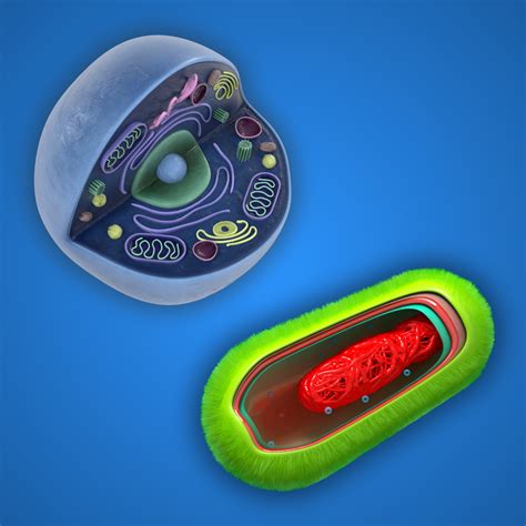 Prokaryotes Eukaryotes Oh My Cagis Clubhouse