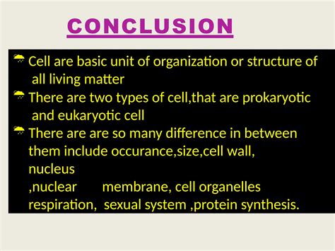 Sturcture Of Prokaryotic And Eukaryotic Cells Cell Division Mitosis