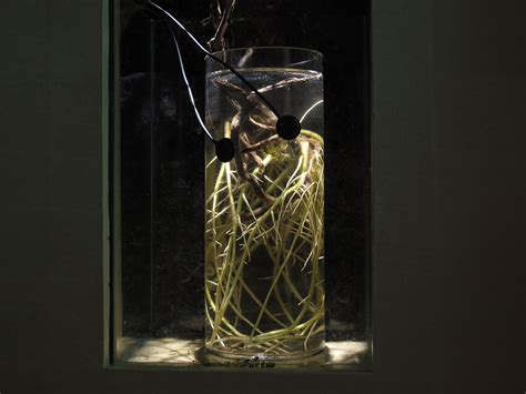 Christine Ödlund Aether And Einstein