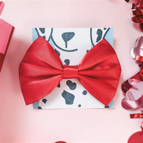 Ruby Bow Tie Modern Companion