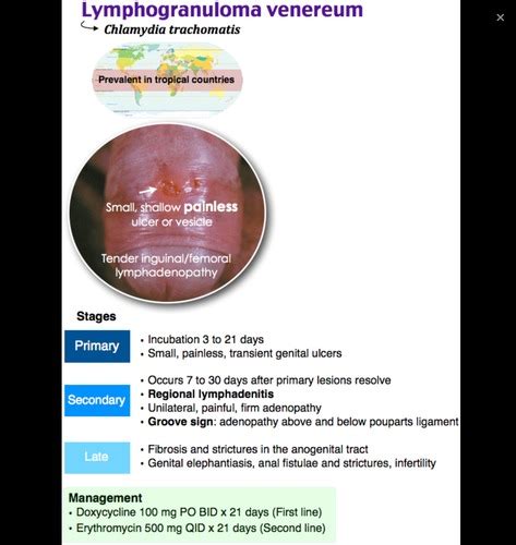 Lymphogranuloma Venereum Pictures