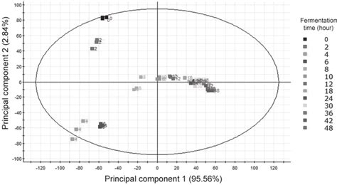 Principal Component Analysis Score Plot Showing The Dynamics Of