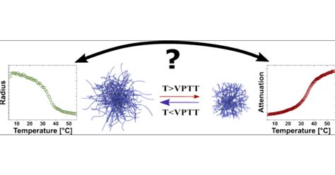 Volume Phase Transition Of Thermoresponsive Microgels Scrutinized By