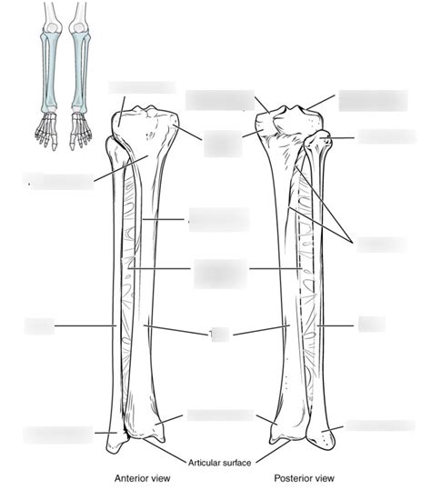 Rashid Tibia Galeria Screeny Tibia ~ Tibiopedia Pl