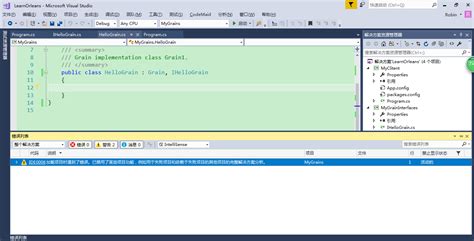 Orleans Takes The IDE Problem Issue Dotnet Orleans GitHub