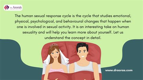 Ppt The Phases Of Desire Understanding The Human Sexual Response