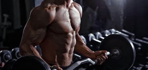 This Is The Definitive Guide To Hmb Supplementation