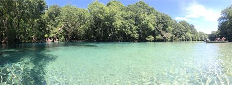 Cypress Springs In Vernon Fl