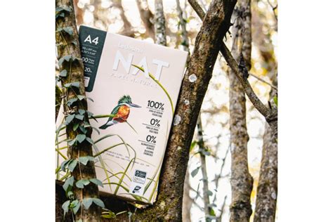 Ledesma Nat Natural A4 Copier Paper 1 Ream 500 Sheets