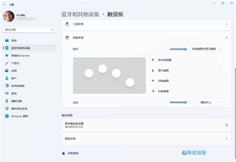 掌握自定义手势,提升 Windows 11 触摸板效率 系统极客 掌握自定义手势,提升 Windows 11 触摸板效率 系统极客