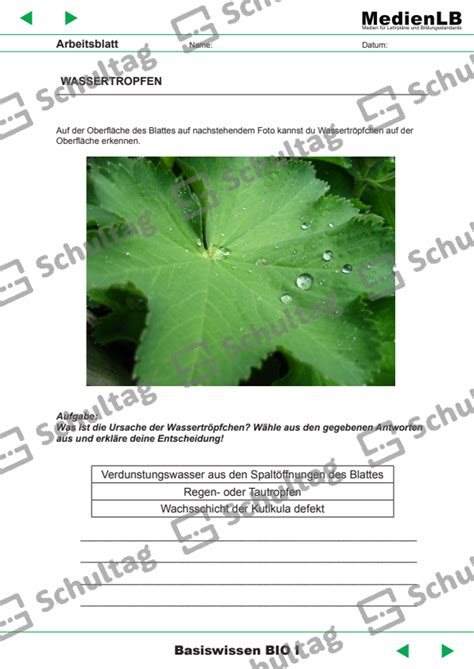 Wassertropfen Schultag