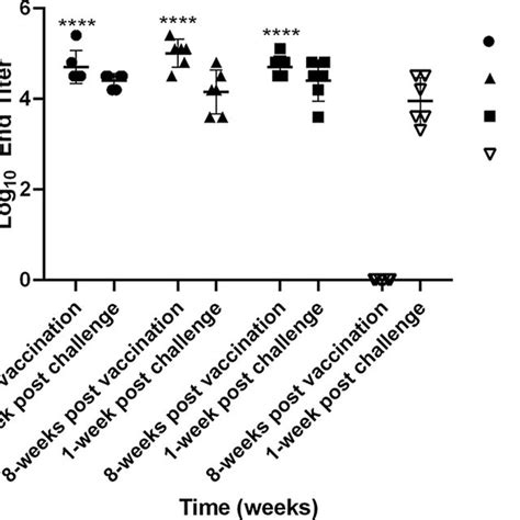 Complement Fixation Test In Brucella Diagnostic Negative 100