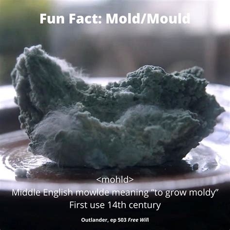 Fun Fact Mold Or Mould Outlander Anatomy