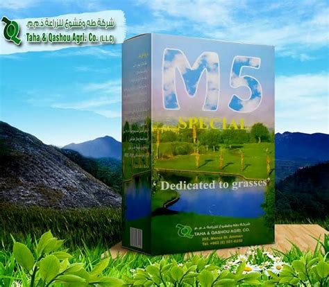 M5 Special Grass Seeds For Lush Lawns Taha And Qashou