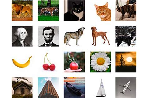 Cómo se podrían almacenar fotos videos y otros archivos digitales en ADN Infobae