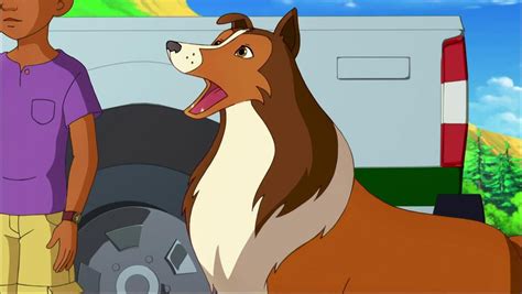 Lassie Série Saison 1 En Streaming Tf1