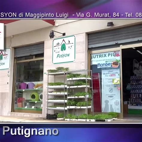 [video] Luigi Maggipinto Posted On Linkedin